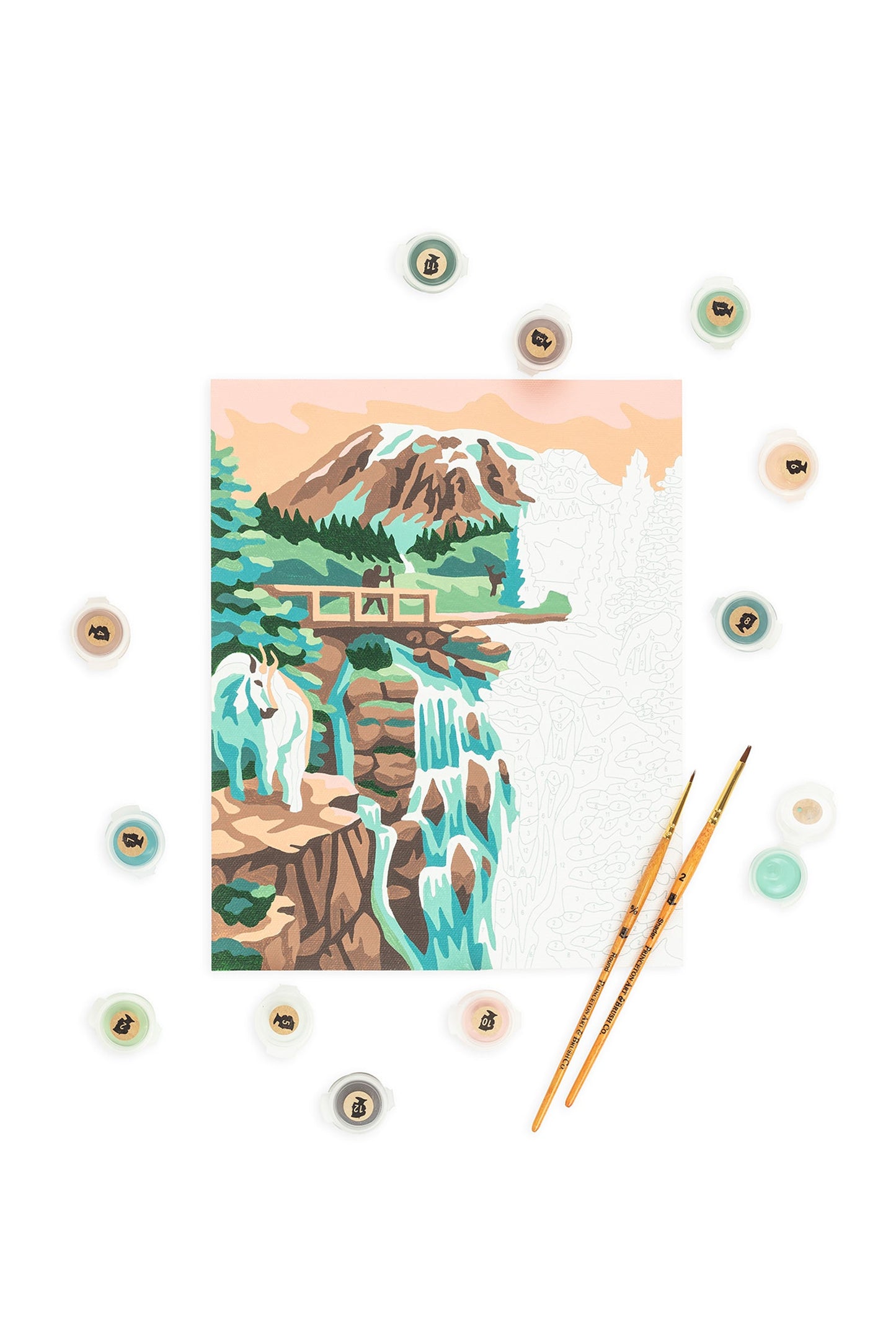 Mount Rainier National Park | 8x10 paint-by-number kit – Crinkle Dreams